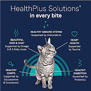 Canidae Pure Limited Ingredient Premium Dry Cat Food, Real Salmon Recipe, 5 lbs, Grain Free