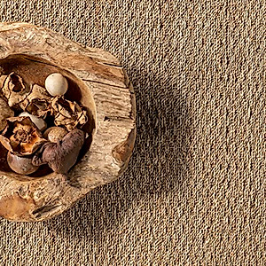 nuLOOM Elijah Farmhouse Seagrass Area Rug