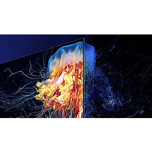 SAMSUNG QN65QN800BFXZA 65" 8K QLED Quantum Mini LED HDR Smart TV with a Walts TV Medium Full Motion Mount for 32"-65" Compatible TV's (2022)