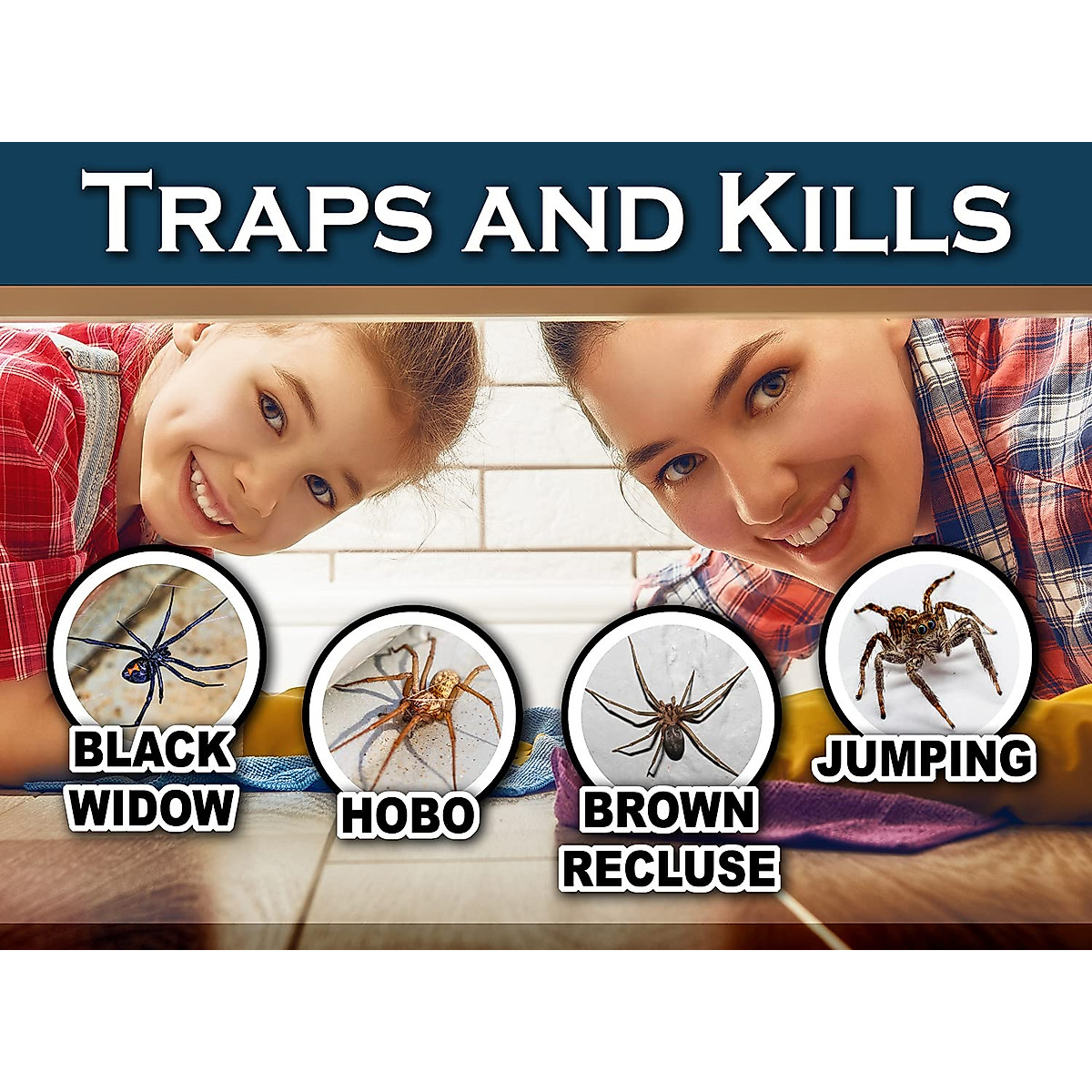 MaxGuard Mini Spider + Insect Traps (24 pcs Box Trap) | Non-Toxic Extra Sticky Glue Traps | Trap and Kill Hobo Spiders, Black Widow Spiders, Brown Recluse Spiders and Crawling Bugs |