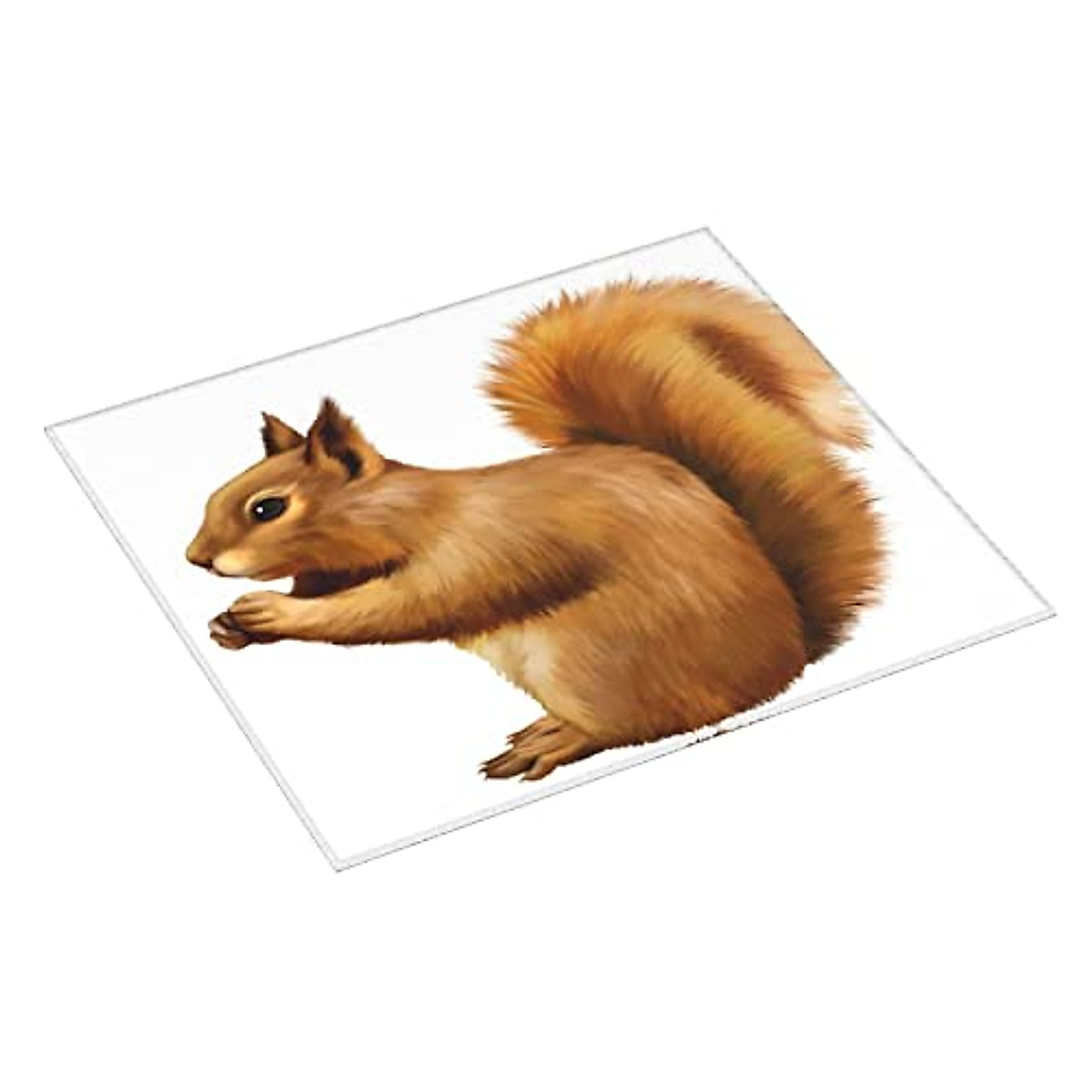 Lively Squirrel Printed Drying Mat For Kitchen Ultra Absorbent Microfiber Dishes Drainer Mats Non-Slip Silicone Quick Dry Pad - 18 X 16inch