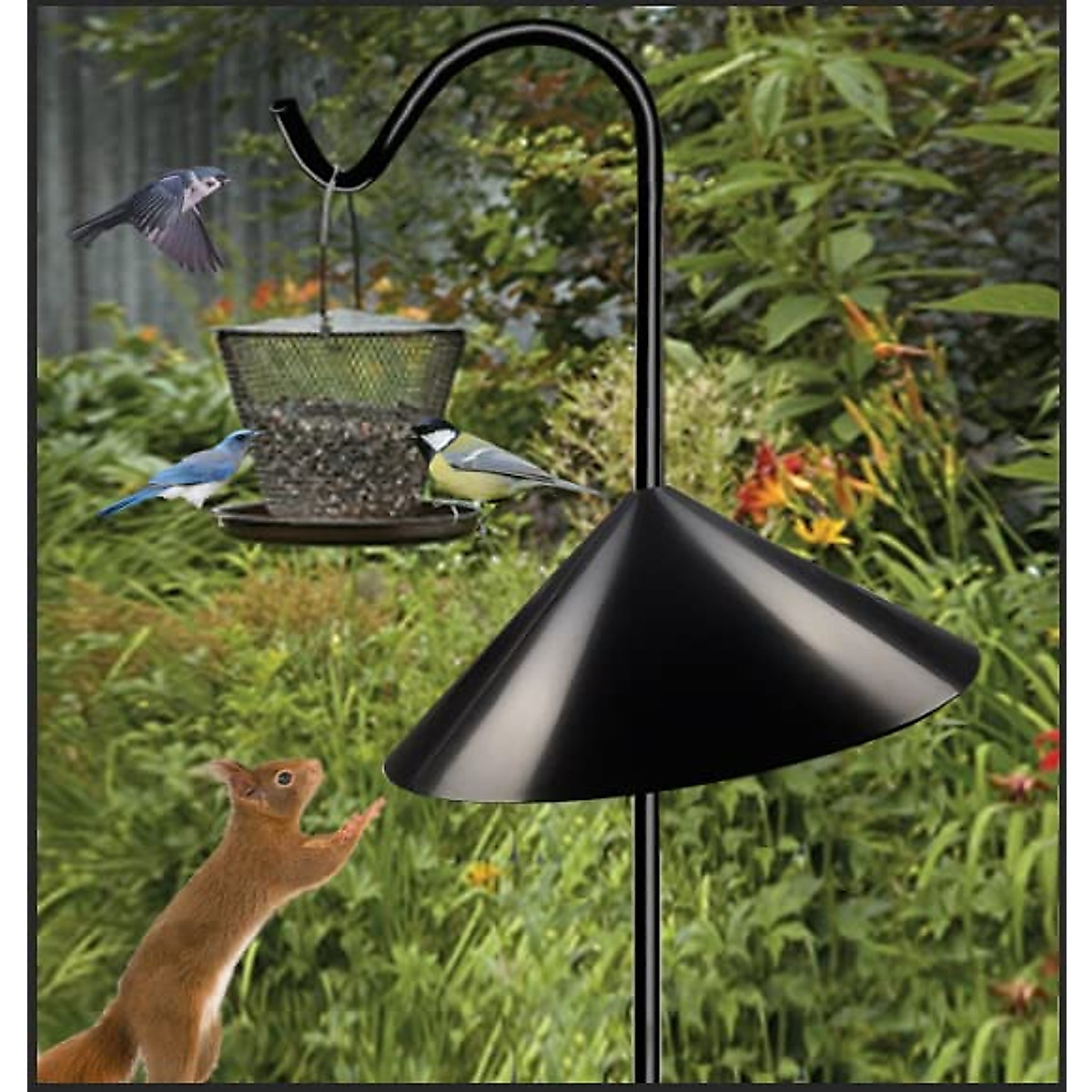Queension 19-inch Wide Squirrel Proof Baffle,Squirrel Guard Stopper for Outside Shepherd Hooks or OutdoorBird Feeder Poles, Save Bird Houses from Squirrels, Rodents and Raccoons, Black, 2 Pack…