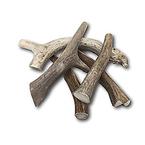 Top Dog Chews – Large Variety Pack, Premium, Grade A, Antlers for Large, Medium or Small Dogs, Antlers from Deer, Elk, & Moose Included, Natural, Long Lasting, Chews for Aggressive Chewers, 1lb