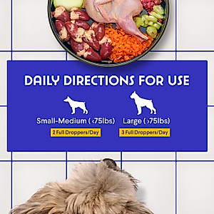 Wonder Paws Premium Kidney Support for Dogs – Cranberry Supplement for Dogs – Dog UTI Treatment – Supports Bladder, Detox, Urinary & Kidney Health – Liquid Kidney Supplement for Dogs 2 oz (60ml)