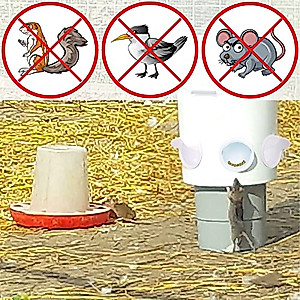 No Waste Chicken Feeder and Waterer,with Rat Stopper Caps,6 Ports 6 Chicken Water Cups and Hole Saw,DIY Poultry Feeder Port Gravity Automatic Fed Kit for Buckets,Barrels,Bins,Troughs