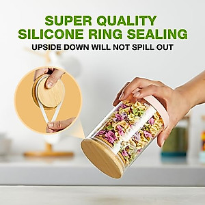 Qipecedm Set of 2 Glass Jars Containers with Bamboo Airtight Lids & Spoons, 17 oz Borosilicate Glass Jars, Clear Food Storage Canister for Cookie, Candy, Coffee, Sugar, Matcha Tea, Flour, Nuts & More