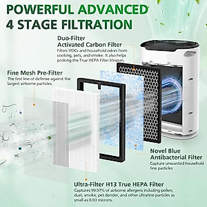 isinlive True HEPA Replacement Fil-ter Compatible with Okaysou AirMax 8L Air Puri-fier, 3-in-1 H13 True HEPA Fil-tration System