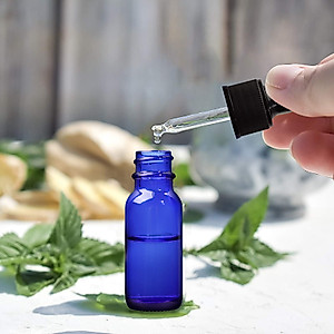 HWASHIN 24 Pack 1/2 oz Cobalt Blue Glass Bottles with Glass Eye Droppers for Essential Oils, Perfumes & Lab Chemicals (Brush, Funnels, 2 Extra Droppers, 36 Pcs Labels & Measuring Cup Included)