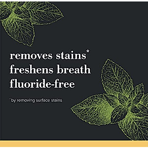 Burt’s Bees Toothpaste, Natural Flavor, Charcoal Fluoride-Free Toothpaste, Zen Peppermint, 4.7 oz, Pack of 3