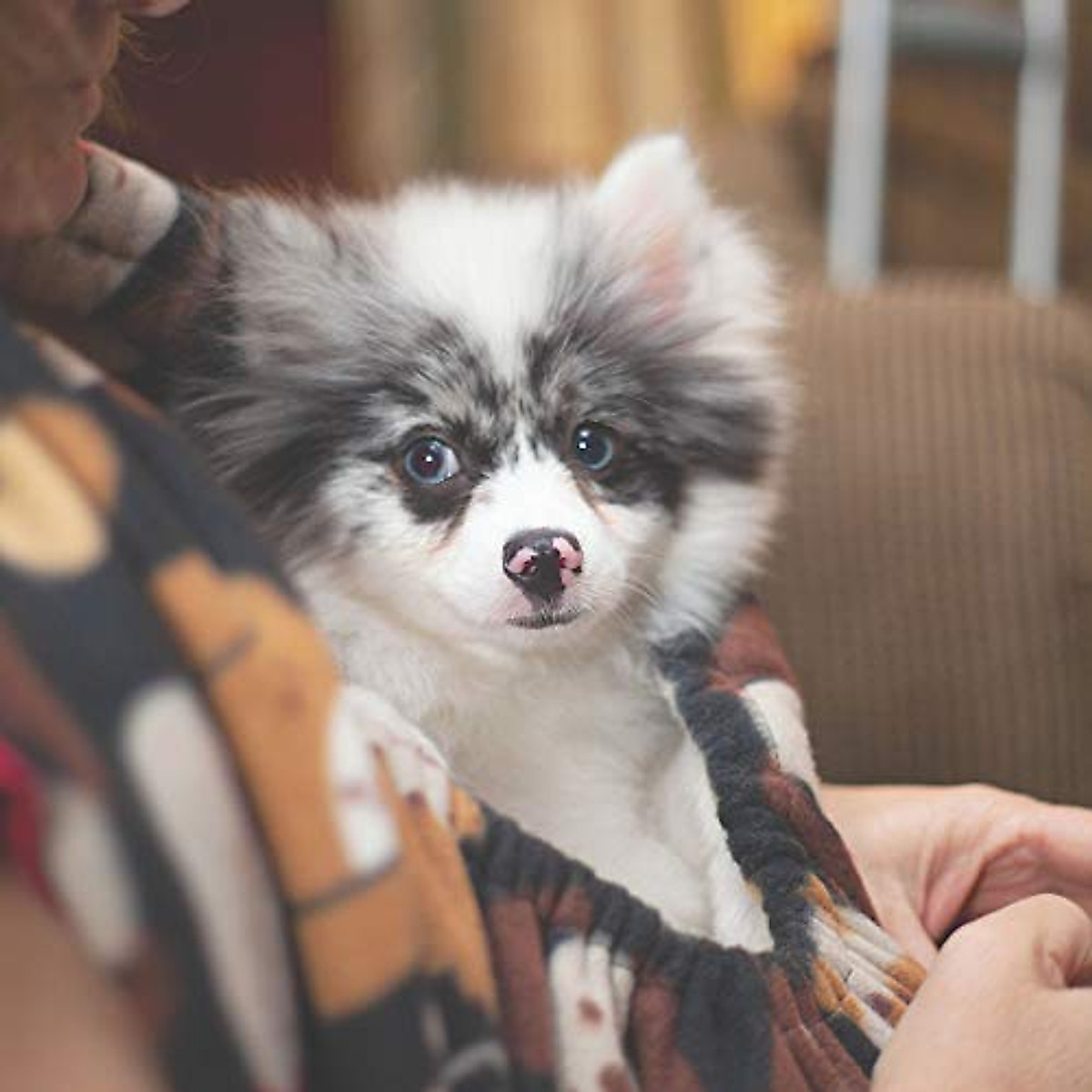 Critter Cuddler Small Animal Carrier and Bonding Pouch Anti-Anxiety Interactive Play Exercise Ring Therapeutic for Pet & Handler Small Dog Cat Hedgehog Puppy Travel Sling - Made in USA (Camel)