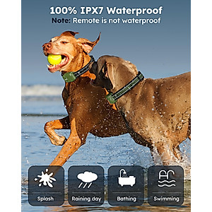 Jugbow Dog Shock Collar 2 Dogs (10-120Lbs) - 3300FT Dog Training Collar with Remote IPX7 Waterproof Electric Collar with 4 Training Modes, Security Lock, Rechargeable e-Collar for All Breeds, Sizes