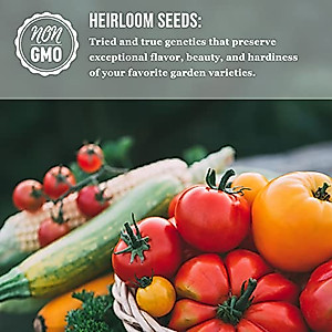 Sow Right Seeds - Classic Vegetable Garden Seed Collection for Planting - Non-GMO Heirloom Beets, Cabbage, Carrot, Cucumber, Eggplant, Kale, Lettuce, Tomato, Peppers, Radish, Watermelon, and Zucchini