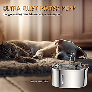 Tomxcute Cat Water Fountain, 3.2L/108oz Automatic Stainless Steel Pet Fountain Water Levels Window can be Checked Dog Water Dispenser, Ultra-Quiet Pump and 3 Replacement Filters & for Multiple Pets