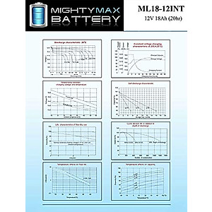 Mighty Max Battery ML18-12INT - 12 Volt 18 AH, Internal Thread (INT) Terminal, Rechargeable SLA AGM Battery