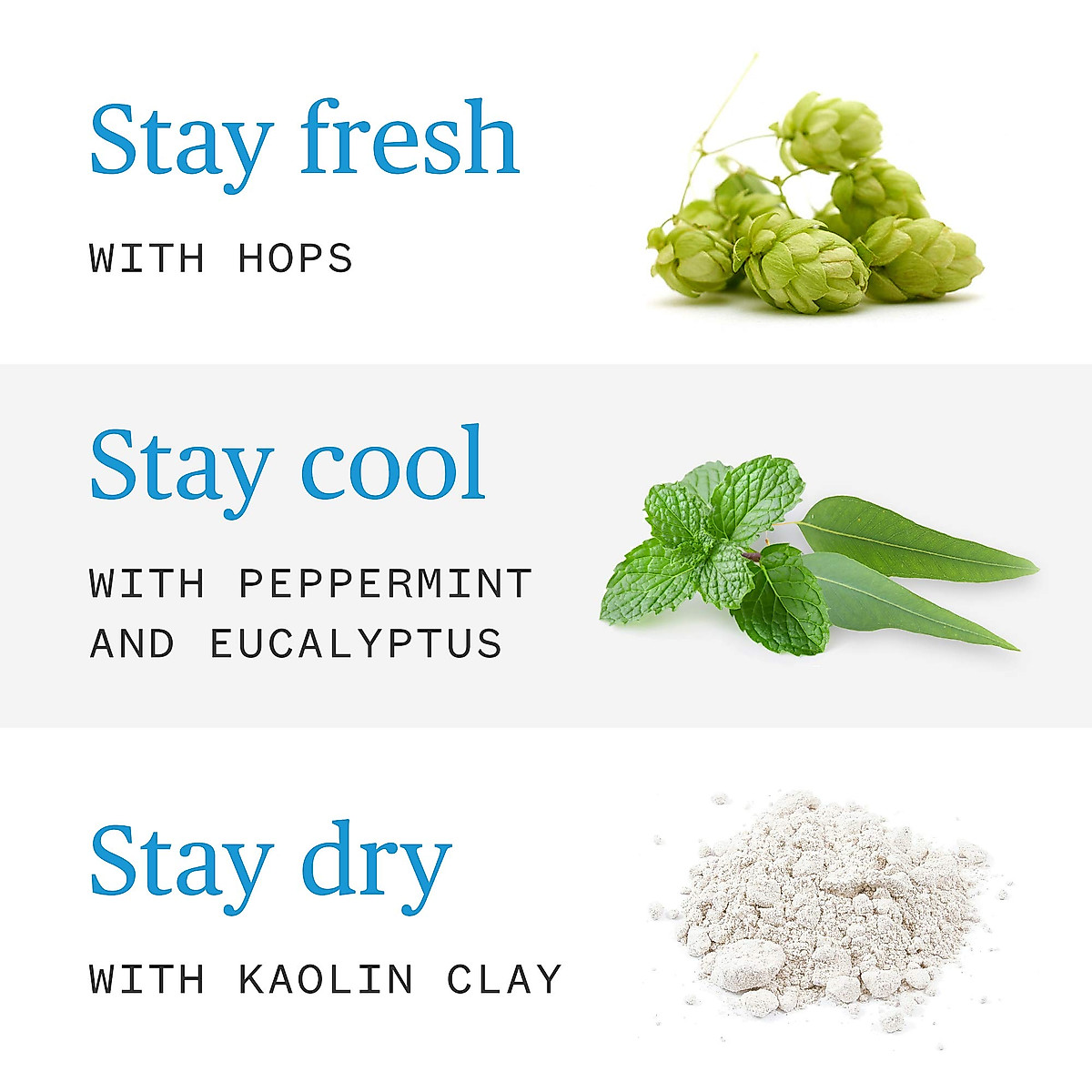 Ursa Major Natural Deodorant - Hoppin' Fresh | Aluminum-Free, Non-staining, Cruelty-Free | Formulated for Men and Women | 2.6 Ounces | 2-Pack