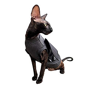 Kotomoda Cat's T-Shirt Dragon (S)