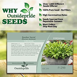 Outsidepride Garden Sorrel Culinary Herb Garden Plant for Soups & Salads - 10000 Seeds