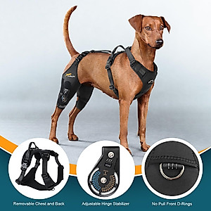 Dollephi Dog Knee Brace for torn acl hind leg with Adjustable Hinge Stabilizer, Dog leg brace Support for Cruciate Ligament Injury, Dog back brace for Osteoarthritis, Recovery After Surgery,et（L）