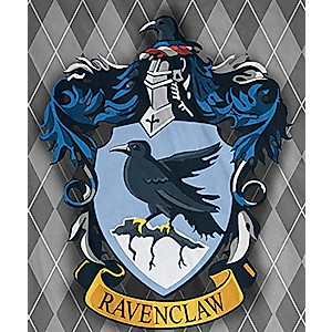 Magical Wizard Style Banner - 43in x 16in Wall Scroll - Boys Girls Birthday Party Flag - Ready to Hang - Perfect Barware Man Cave Gift - Unique HP Collectible Accessories Holiday Decoration Gifts (4 Blue)