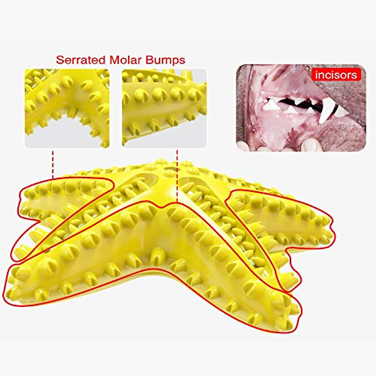 lifein Dog Chew Toy - Squeaky Toothbrush Durable Rubber Dog Toys for Teeth Cleaning, Tough Dog Toys for Aggressive Chewers Puppy/Medium/Large Dog Breeds Dental Care