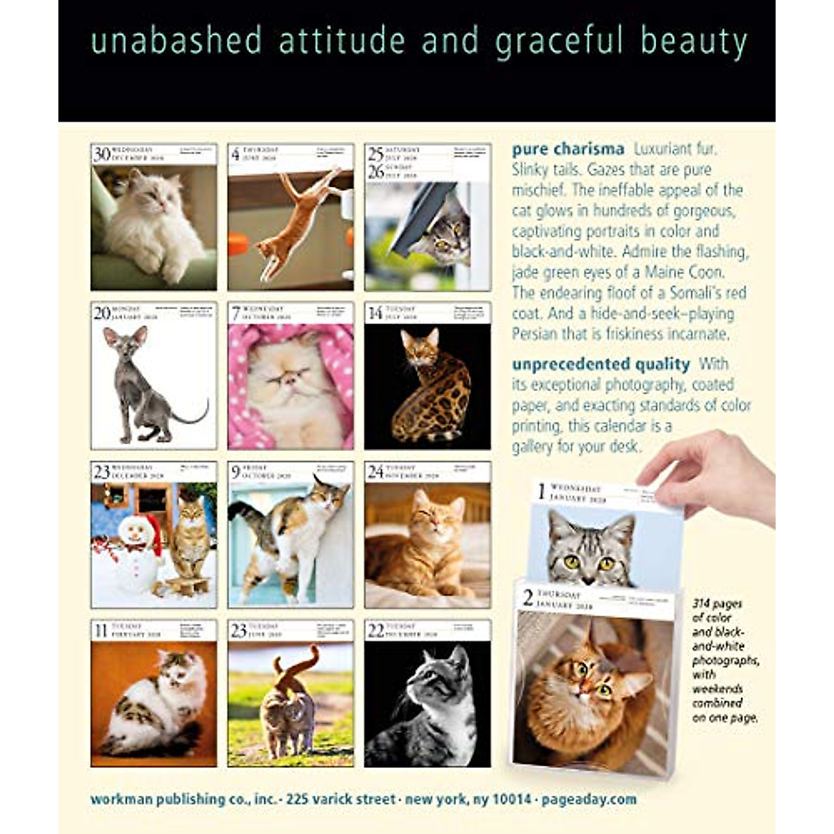 Cat Page-A-Day Gallery Calendar 2020
