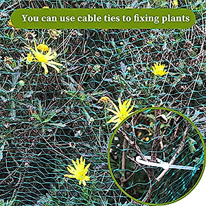 13 x 46 Feet Anti Bird Netting, Green Garden Netting Protect Fruit and Vegetables from Birds and Animals, Bonus 20 PCS Cable Ties - 0.56 in Mesh