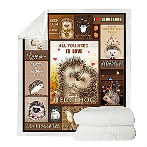 CYREKUD Hedgehog Gifts for Women Blanket,Hedgehog Blanket Hedgehog Gifts for Hedgehog Lovers Throw Blanket,Hedgehog Blanket for Adults,Hedgehog Blanket for Bedroom Sofa Couch Christmas Decor 50"x 60"