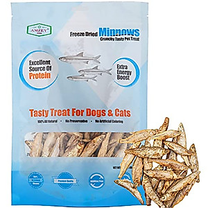 Amzey Minnows - 3.5 oz Freeze Dried - 100% Natural Premium Cat Treat, Dog Treat - Freeze Dried Minnows for Cats - Freeze Dried Minnows for Dogs - Bulk Package Minnows (1.6 "to 2.8" Length Each)