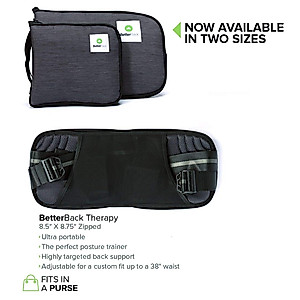 BetterBack Therapy - Sit in Perfect Posture + Lower Back Pain Relief (Heat and Ice Healing) - Portable Ergonomic Office Chair