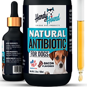 Natural Antibiotics for Dogs – Gentle, Effective Dog Antibiotic - Provides Dog Allergy Relief and Dog Itching Skin Relief - Premium Antibiotics for Dogs with Bacon Flavor