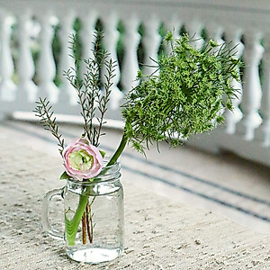 Kate Aspen Large Glass Jars with Lids and Handles, Mason Jars Mugs, Drinking Glass and DIY Favor Decor, Wide Mouth, 12 oz. (1)