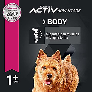 Eukanuba Adult Small Breed Dry Dog Food, 4.5 lb