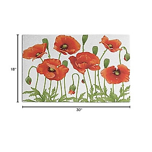 Lunarable Flower Doormat, Spring Wild Flower Poppy Ladybug Leaf Springtime Garden Nature Backyard Print, Decorative Polyester Floor Mat with Non-Skid Backing, 30" X 18", Orange Green