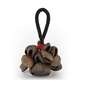 Pearl Pangi Nut Shaker with Rope Handle (PBPGRH14)