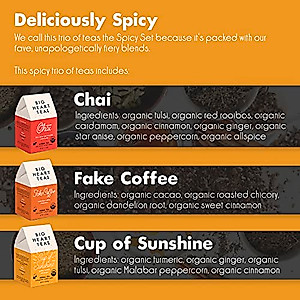 Big Heart Tea Co. Spicy Tea Bags Gift Set - Certified Organic, Ayurvedic Herbal Tea - Small Batch Ground Herbs, Spices in Zero Plastic Sachets - Healthy Tea Variety Box - 3 Flavors, 30 Pack