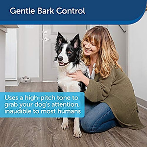 PetSafe Indoor Ultrasonic Dog Bark Control - No Collar Needed - Up to 25 ft Range - Anti-Bark Pet Training System - Automatic with Manual Trainer Button