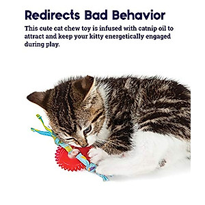 Catstages Dental Kitty Chew Wheel Catnip Cat Toy