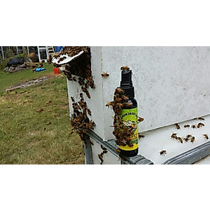 Swarm Commander 2oz Spray