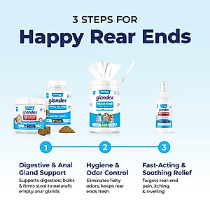 Glandex Dog Fiber Supplement Powder for Anal Glands with Pumpkin, Digestive Enzymes & Dog Probiotics for Digestive Health - Vet Recommended - Boot The Scoot (Vegan Salmon, 2.5oz Powder)