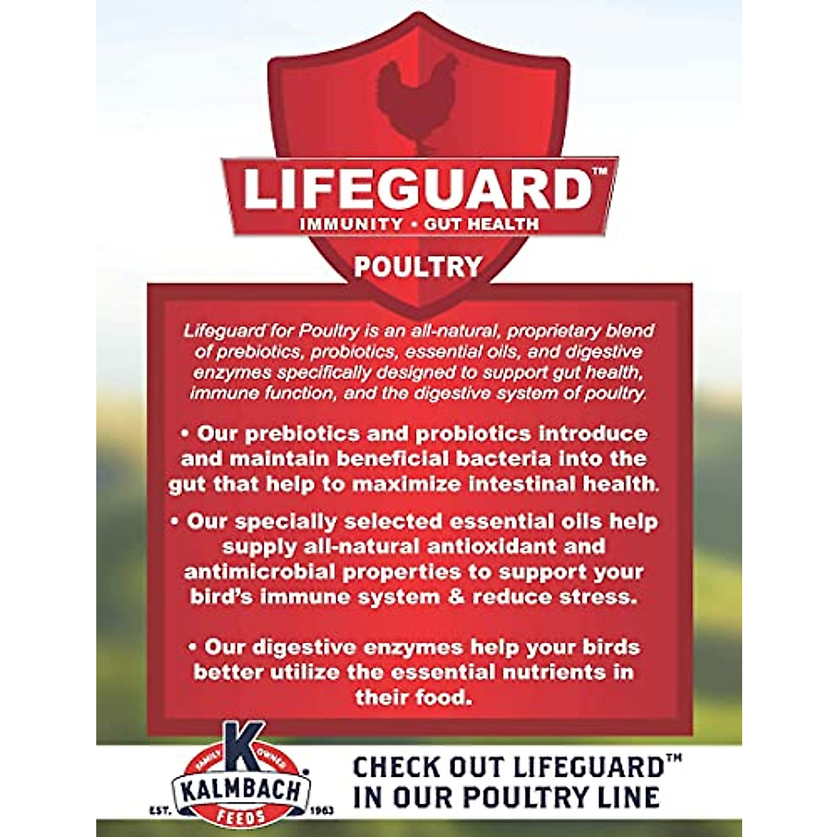 Kalmbach Feeds Henhouse Reserve Supplement Treat Block for Chickens, 20 lb