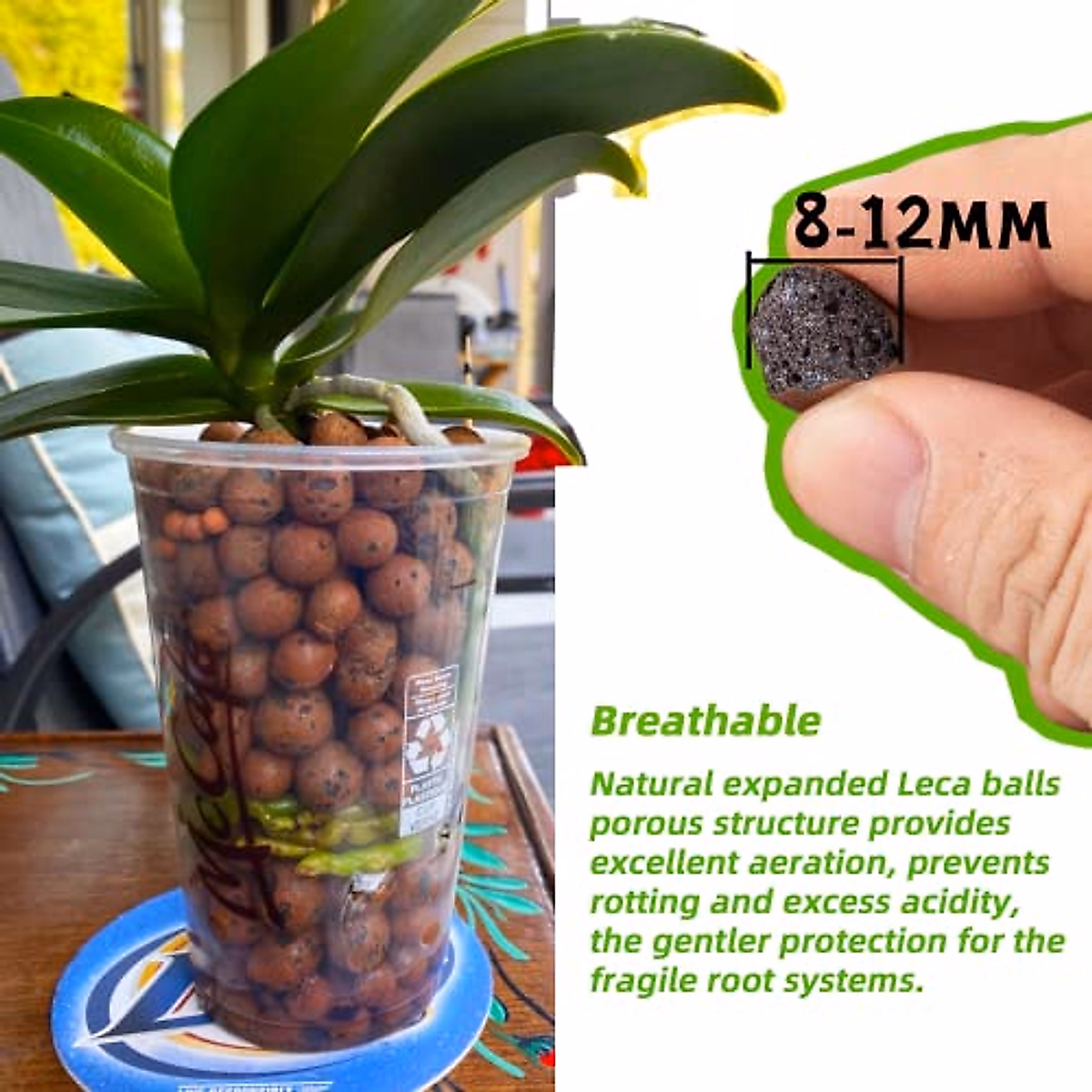 4.5LBS Leca Clay Pebbles for Plants, 8mm-12mm Expanded Clay Pebbles for ...