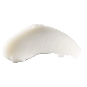 Burts Bees Rosemary and Lemon Lip Butter Unisex Lip Balm 0.4 oz