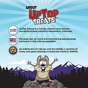 Tootsie Frooties Blue Raspberry | Fruit Flavored Chewy Candy | Soft, Bite-Sized, Gluten-Free, Peanut-Free (15.62 oz Bag)