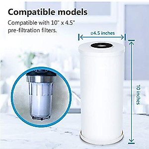 Waterspecialist FXHTC Whole House Carbon Water Filter, Replacement for GE FXHTC, GXWH40L, GXWH35F, Culligan RFC-BBSA, American Plumber W10-PR, W10-BC, WRC25HD, 10" x 4.5", 5 Micron, Pack of 2
