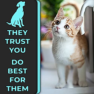 H&H Pets Nail Clippers Series - for Cats and Dogs - Razor Sharp Blades Sturdy Non Slip Handles - Dog Accessories Professional at Home Grooming - Stainless Steel - Dog Nail Trimmers - XS (Cats & Birds)