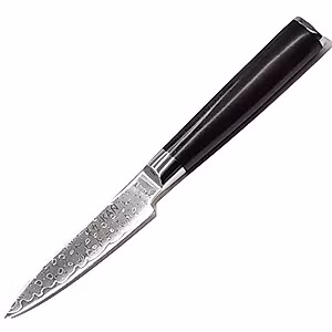 KAN Core 3.5-inch Professional Paring Knife Japanese VG-10 (G10 Handle)