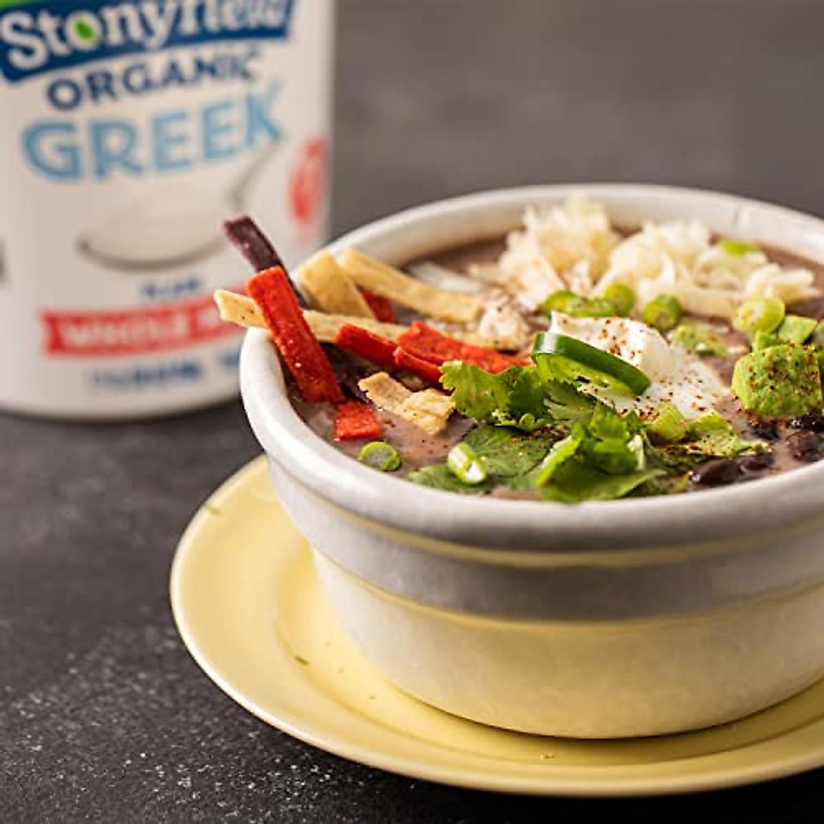 Stonyfield Organic Greek Whole Milk Yogurt, Plain, High in Protein (16g), Multiserving Snack & Cooking Substitute, 30 Oz