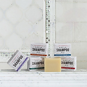 J·R·LIGGETT'S All-Natural 6 Variety Shampoo Bars .65oz. Sampler Pack, Support Strong and Healthy Hair-Nourish Follicles with Antioxidants and Vitamins-Detergent and Sulfate-Free, 6 Mini Shampoo Bars