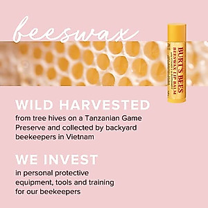 Burt's Bees Easter Basket Stuffers Gifts, 5 Body Care Products, Everyday Essentials Set - Original Beeswax Lip Balm, Deep Cleansing Cream. Hand Salve, Body Lotion & Foot Cream, Travel Size