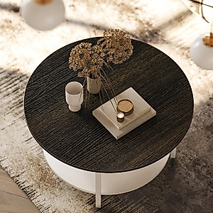 FABATO Round Lift Top Coffee Table with Storage and Hidden Compartment, 26.77'' Farmhouse Coffee Table for Living Room Reception Room, 2 Tier Small Round Coffee Table Circle Dining Table, White